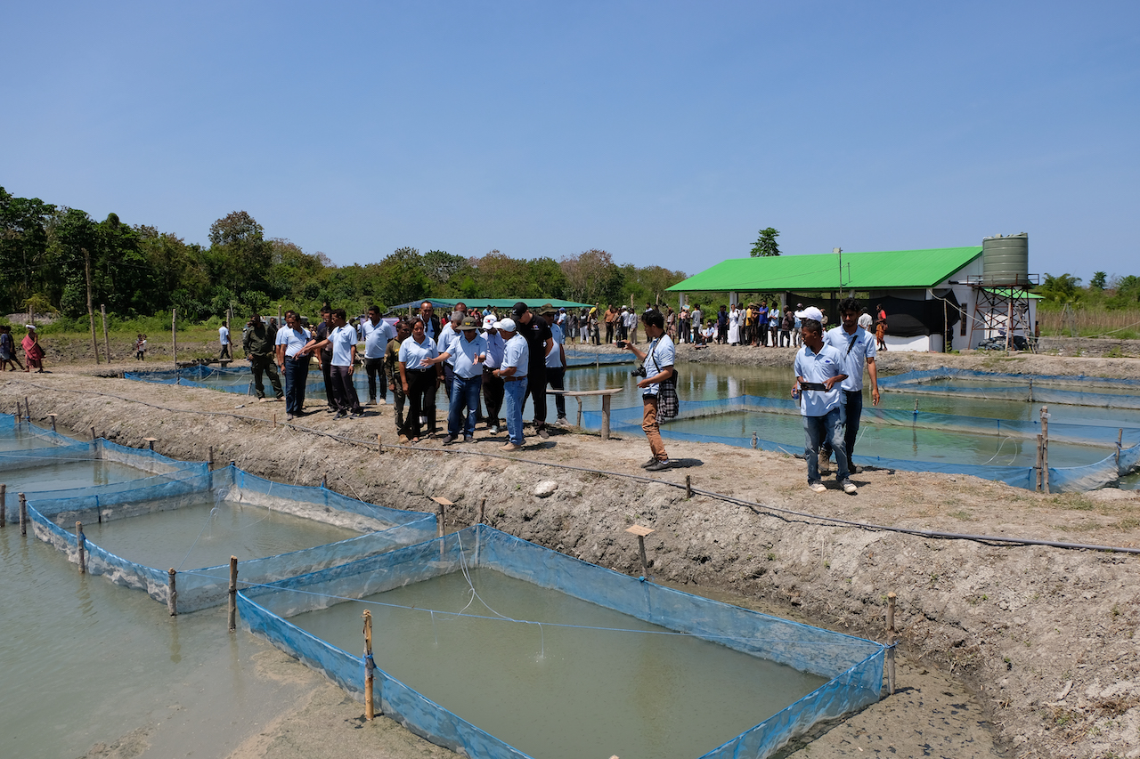 Inauguration of Colocau's GIFT hatchery: A milestone in Timor-Leste's aquaculture development ...